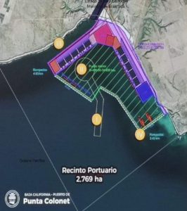 Punta Colonet: un paraíso amenazado – Brújula News