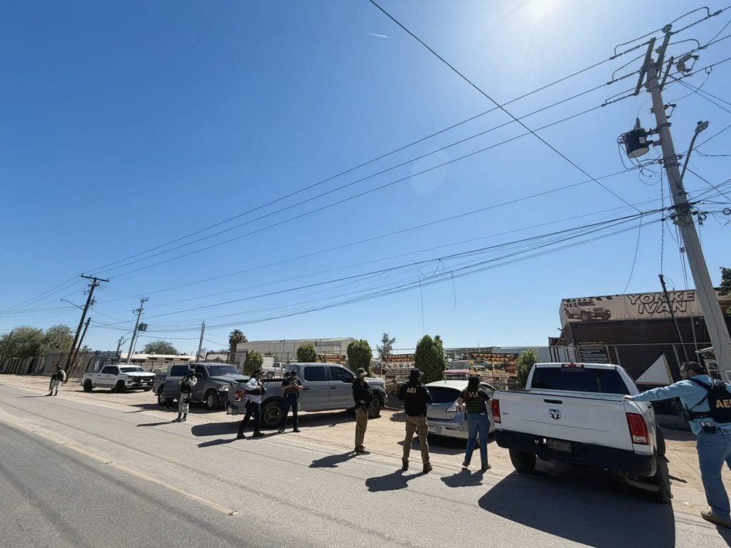 Catean yonke y encuentran 5 carros robados – Brújula News